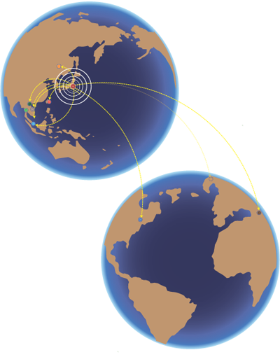 RiMM グローバル展開（対応/計画）